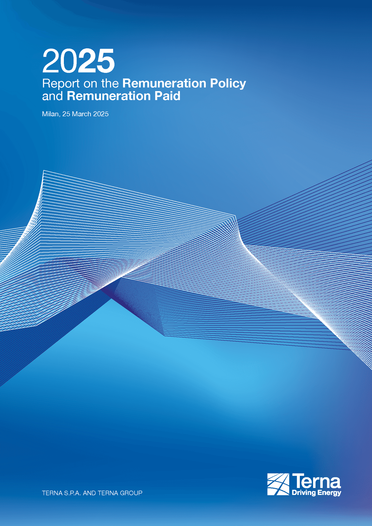 2025 Development Plan - 2024 Digital Report - Terna