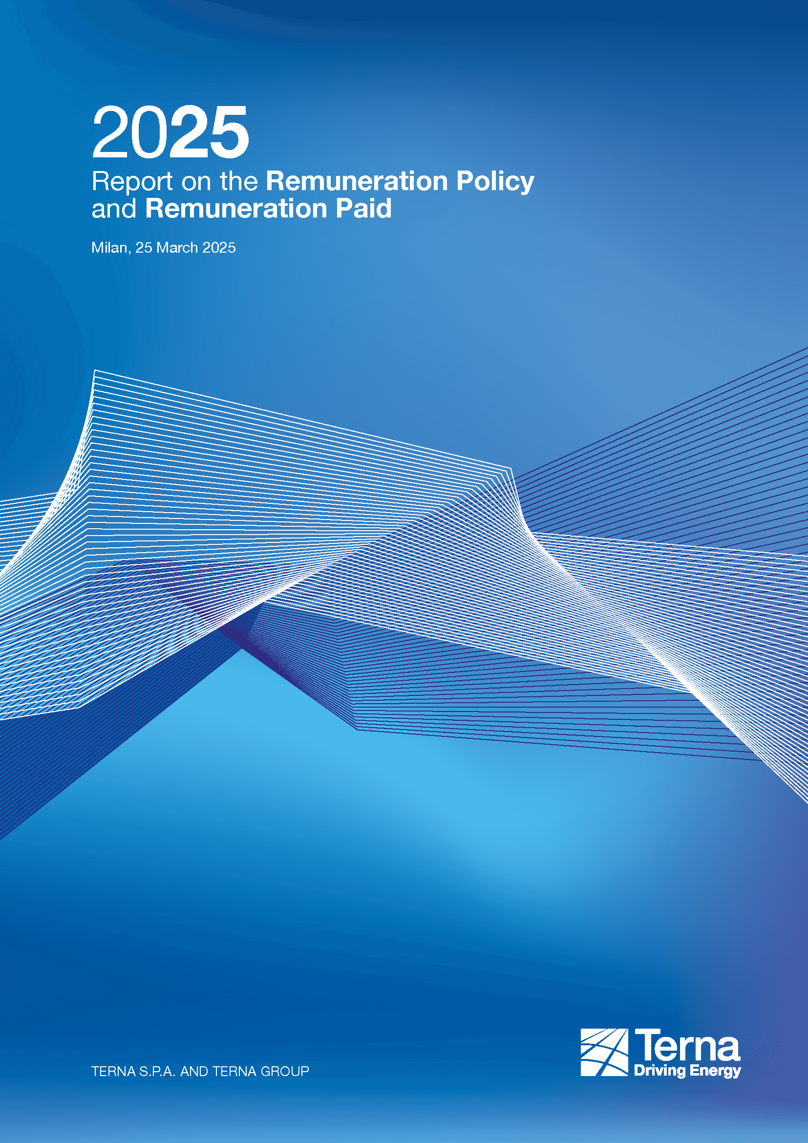 2025 Development Plan - 2024 Digital Report - Terna